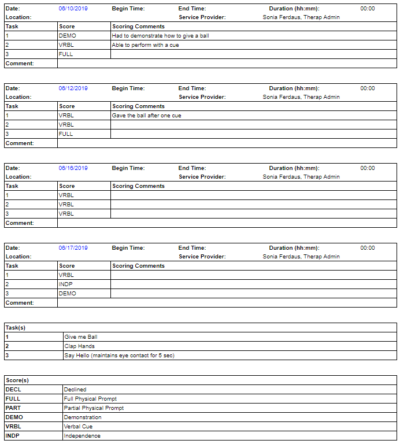 Clinician Report - Therap Global