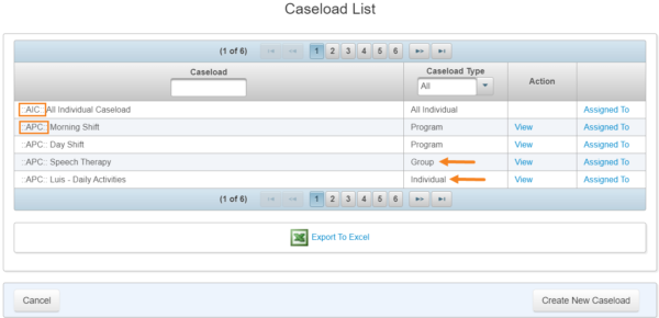 Description Of Caseload Types - Therap Global