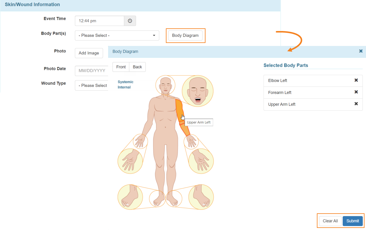 body diag revised - Therap Global