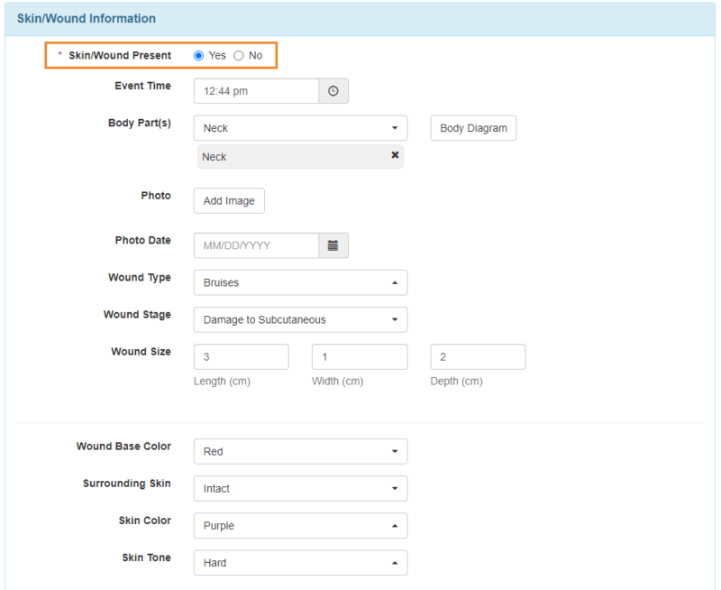 Enter Skin/Wound Data - Therap Global