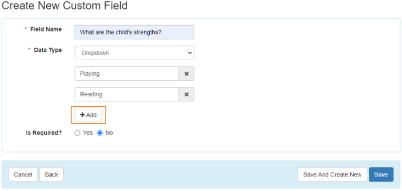 Create Custom Fields - Therap Global