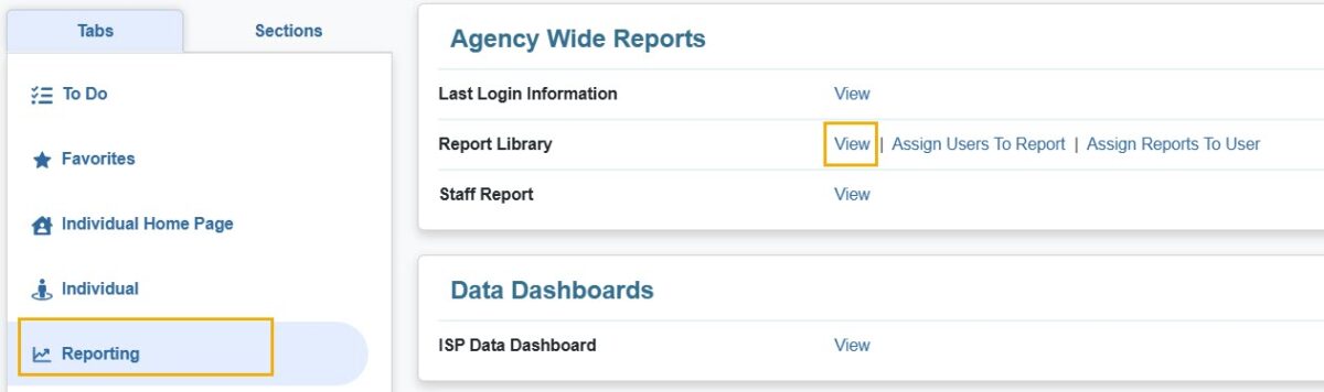 Reporting Tab - Therap Global